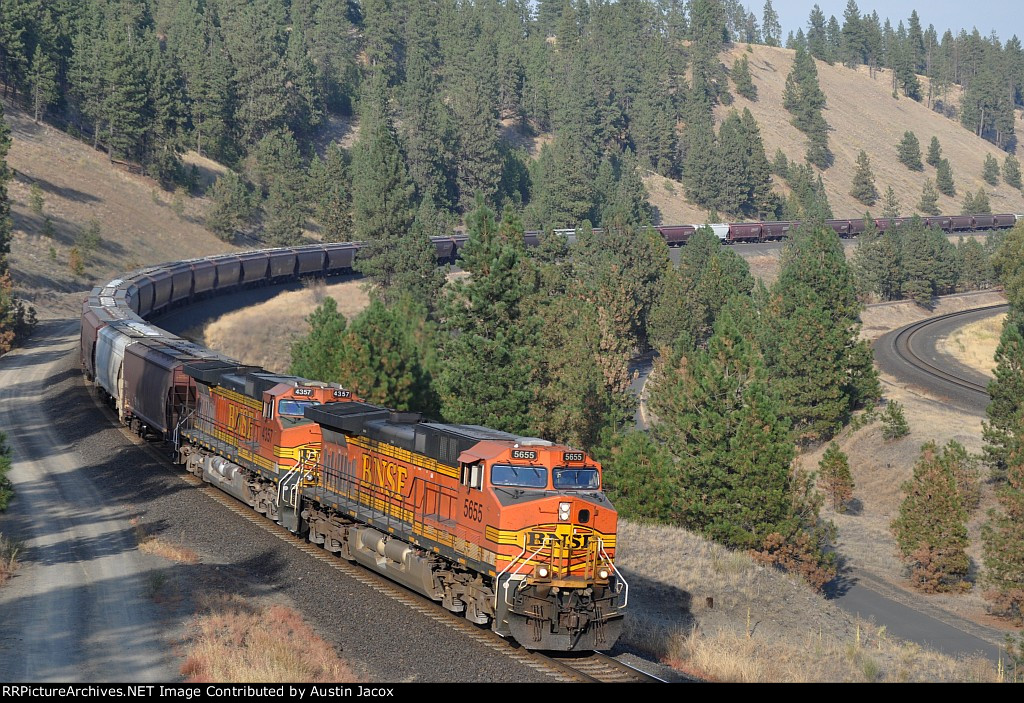 BNSF 5655